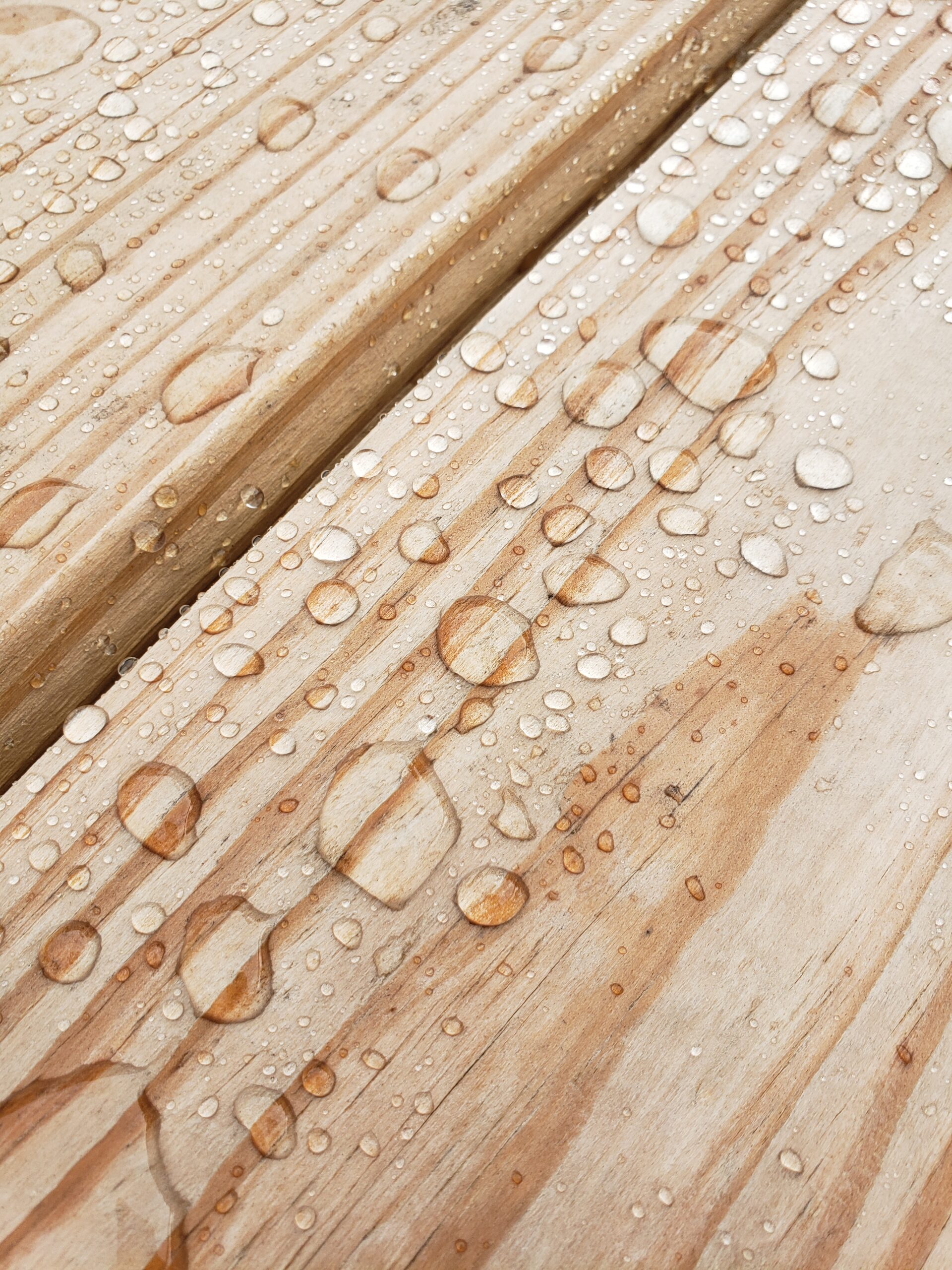 Decking & Fencing Sealants - Outdoor Protector